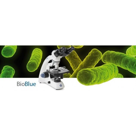 Microscope Euromex binoculaire BioBlue BB.4260 - Boutique Bassin